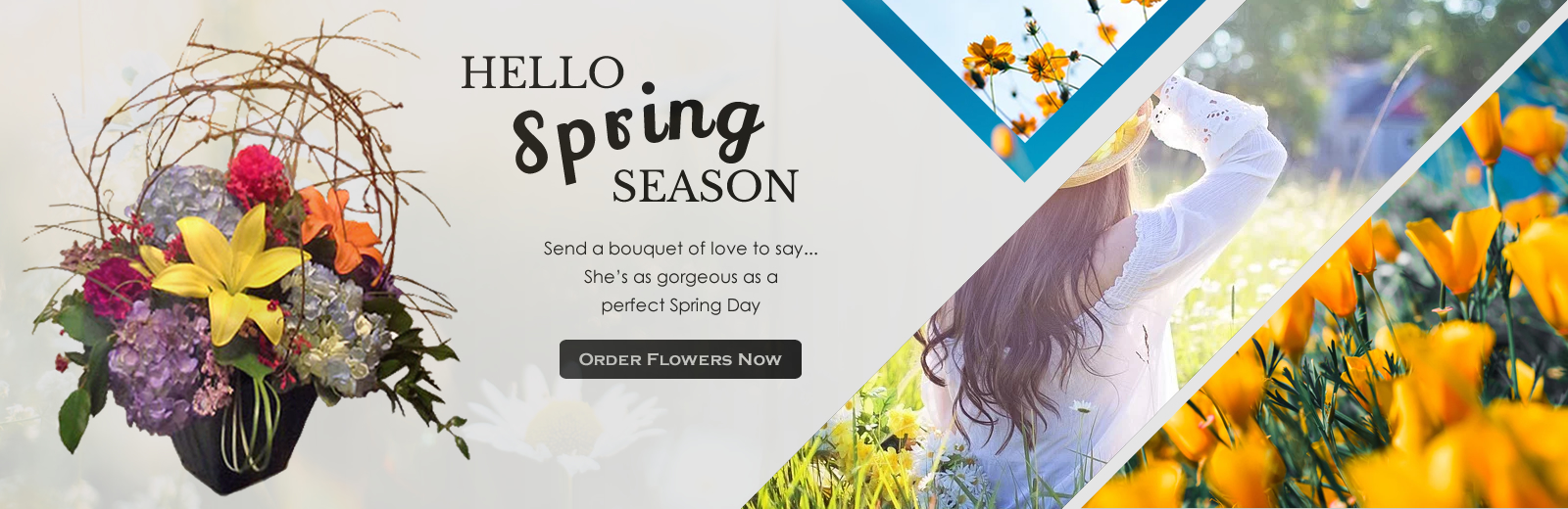 Milwaukee Florist, Flowers, Gift Delivery- Carter Creations